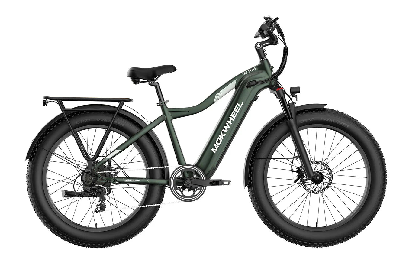eBike Mokwheel Tor Plus - Gray - In a Box - EZE Ryders Electric Bike Shop