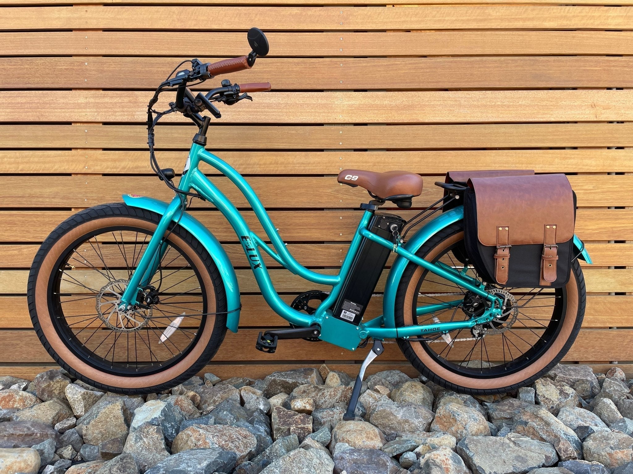 Custom Fat Tire Electric Cruiser (Step-Thru) eBike - EZE Ryders ...