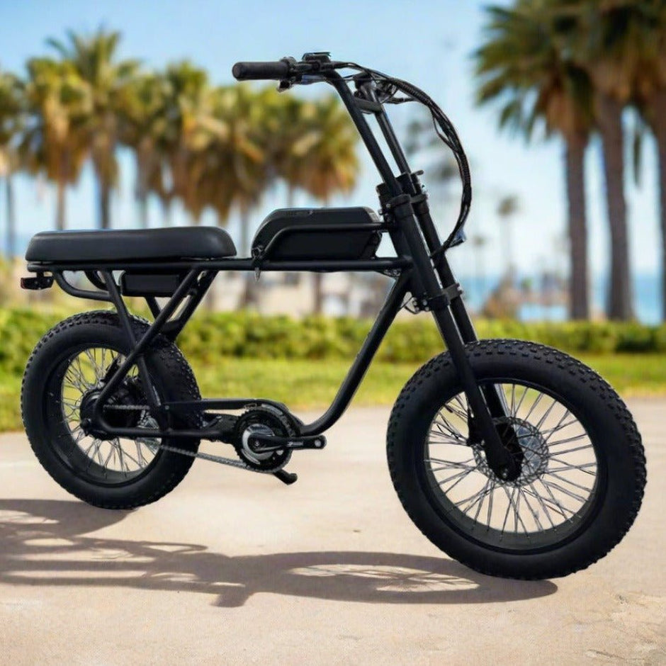Electric Bikes Cruiser - EZE Ryders Electric Bike Shop